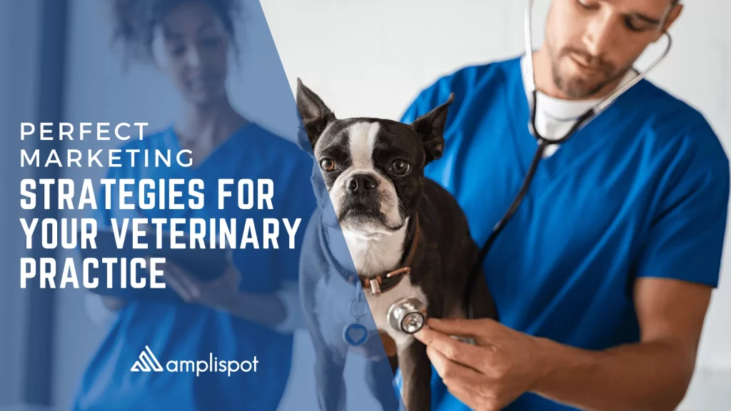 Perfect Marketing Strategies For Your Veterinary Practice - Amplispot ...